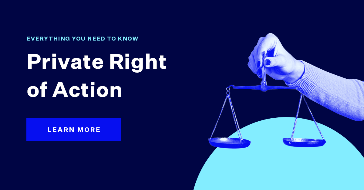 Private Right of Action - Democracy Docket