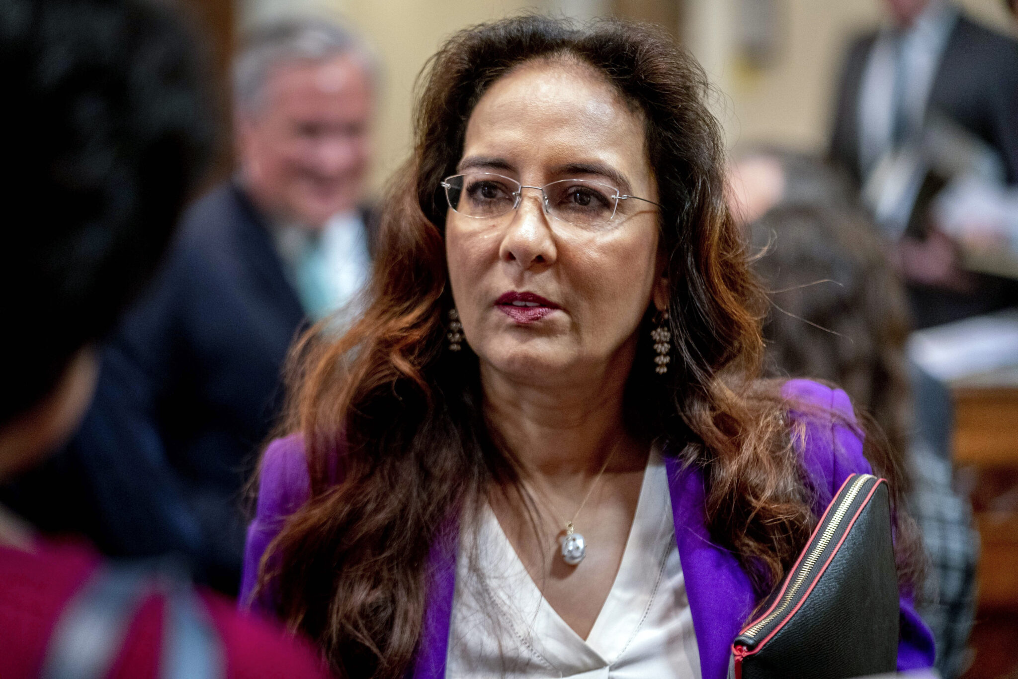 Harmeet Dhillon Was an Outspoken Advocate for the Right of States to ...